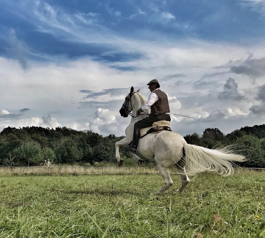 STAROKLADRUBSKÝ BĚLOUŠ V HLAVNÍ ROLI FILMU BUKO