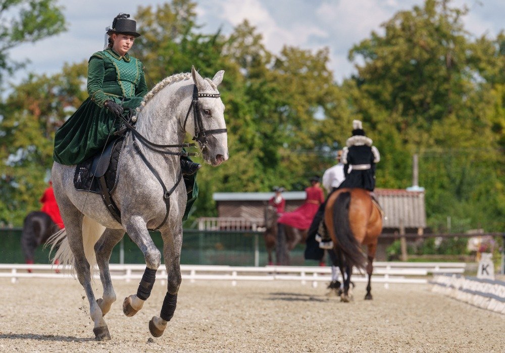 Národní hřebčín Kladruby nad Labem, s.p.o.
