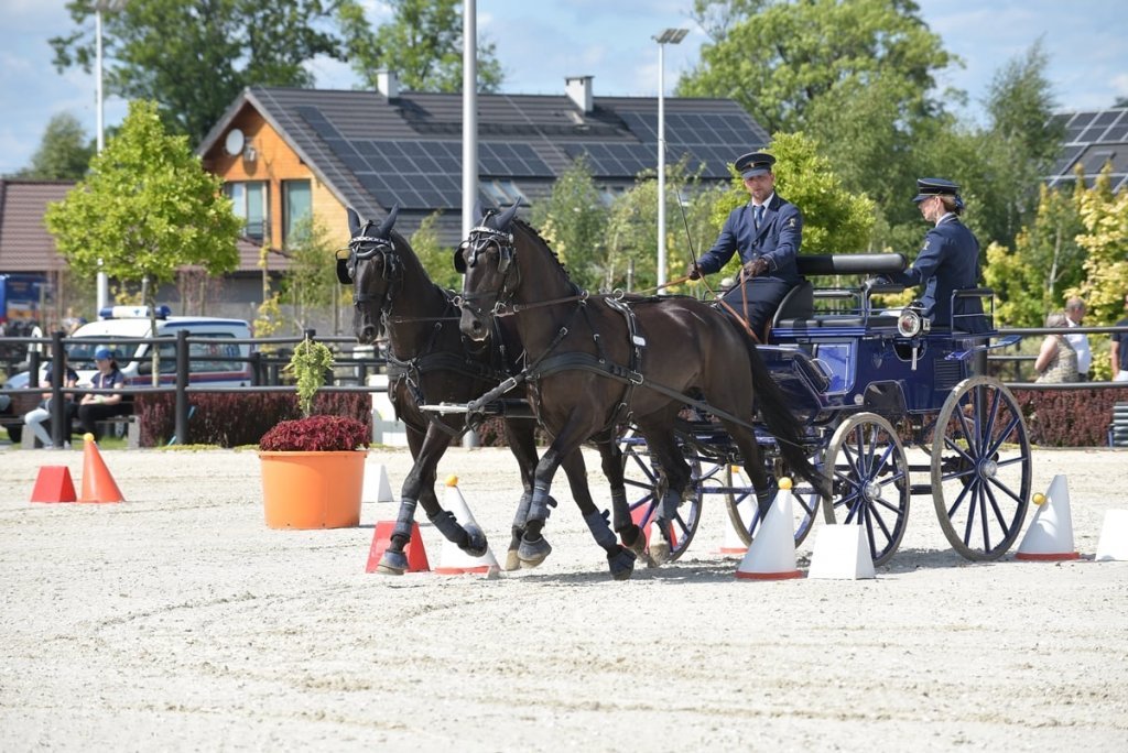 Národní hřebčín Kladruby nad Labem, s.p.o.