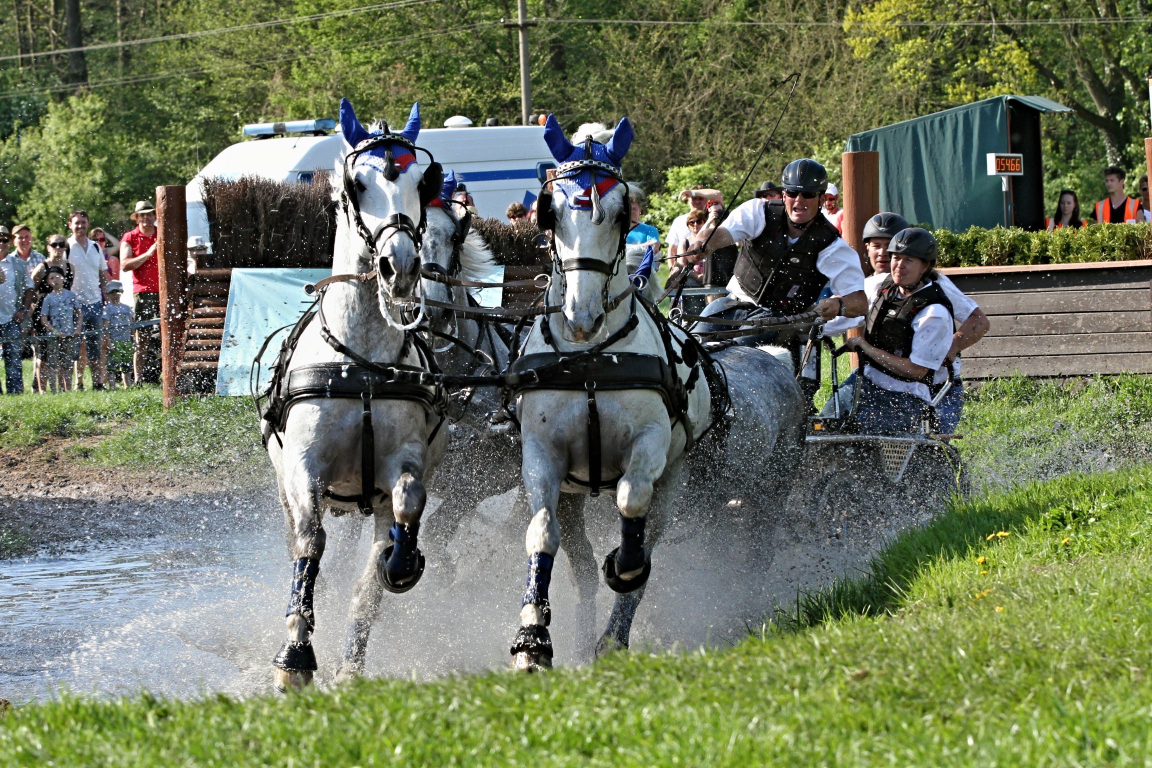 Národní hřebčín Kladruby nad Labem, s.p.o.