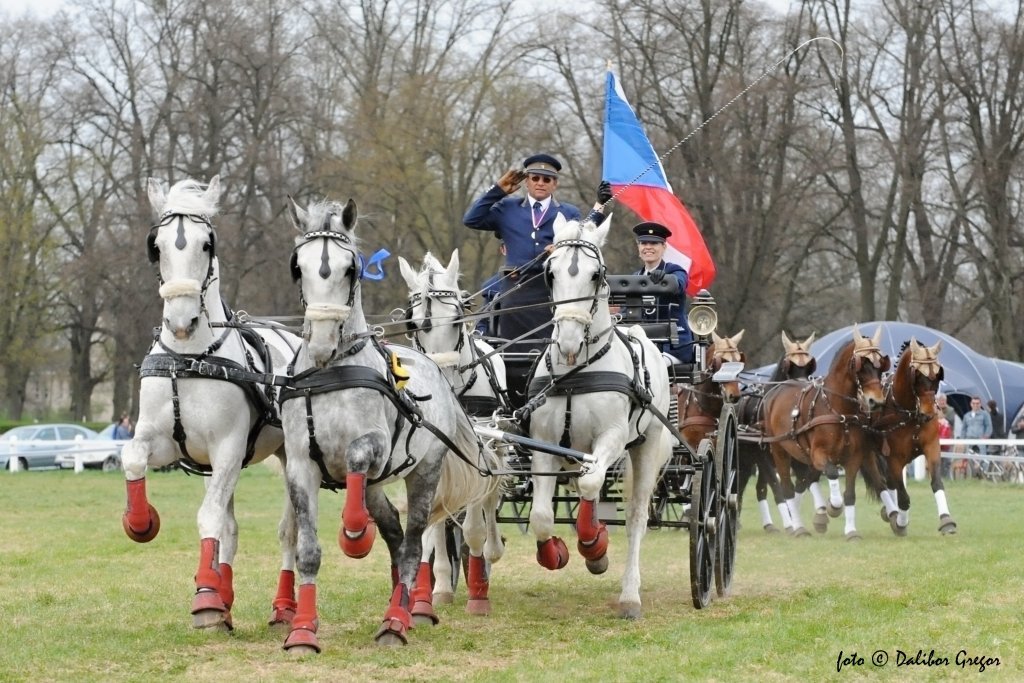 Národní hřebčín Kladruby nad Labem, s.p.o.