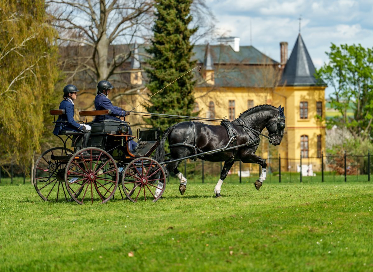 Národní hřebčín Kladruby nad Labem, s.p.o.