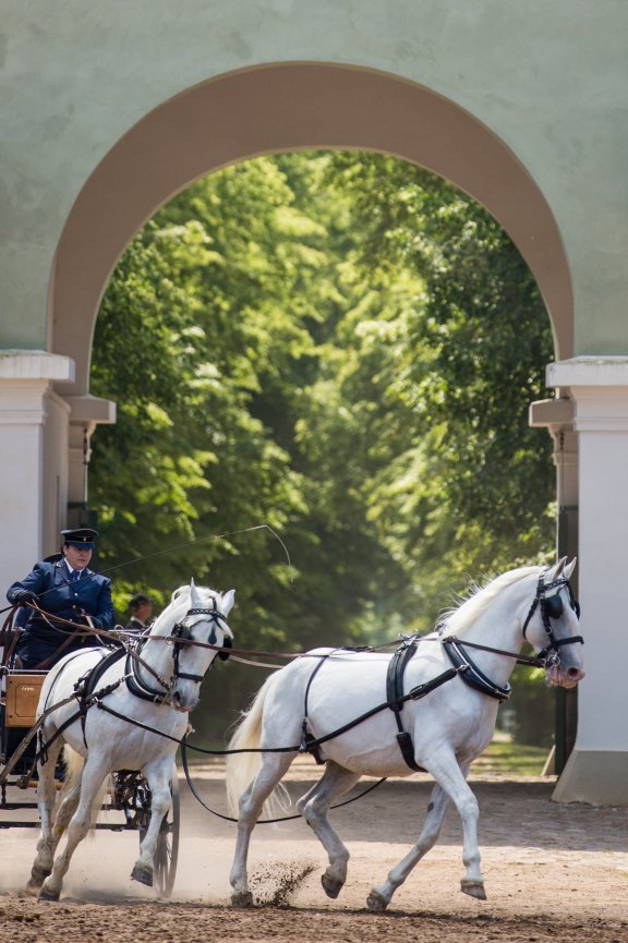 Kladruber Horse Day, 26 May 2018