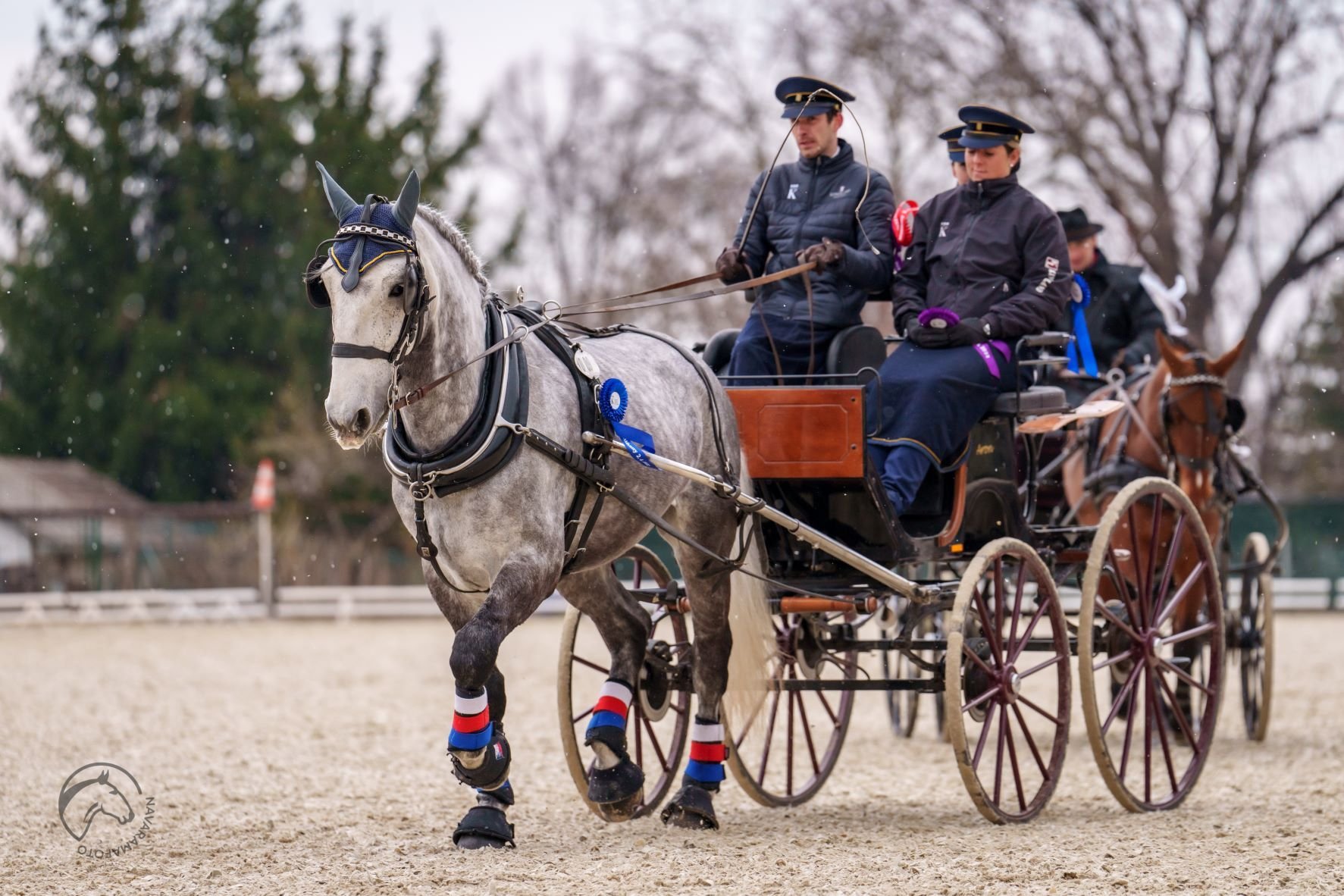 Národní hřebčín Kladruby nad Labem, s.p.o.