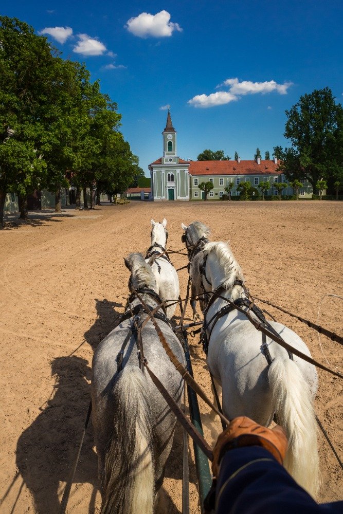 Národní hřebčín Kladruby nad Labem, s.p.o.