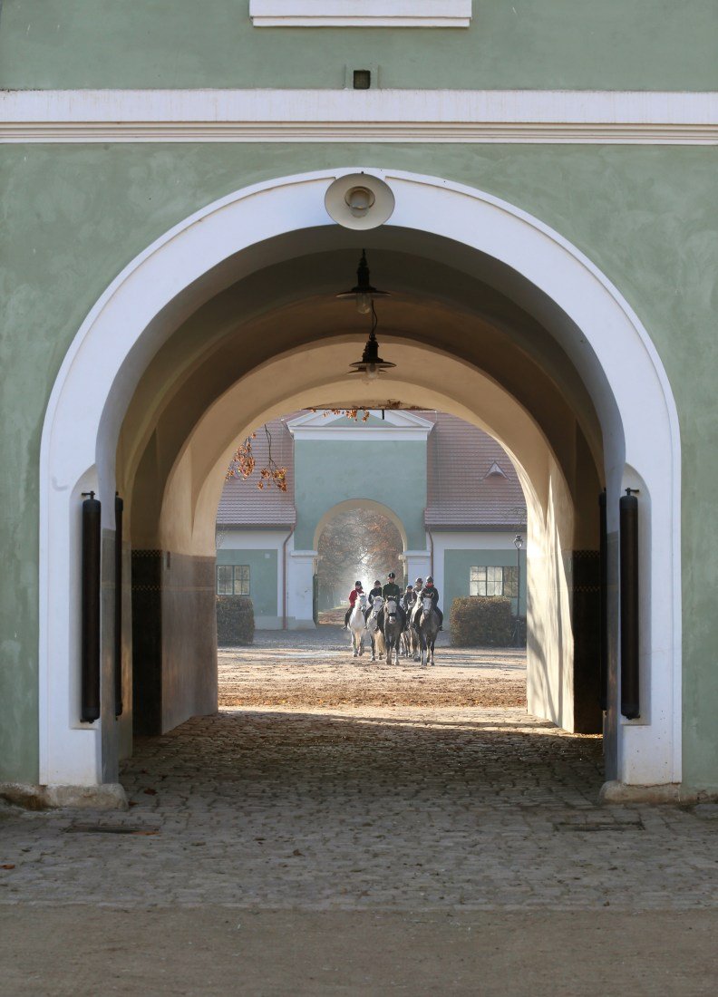 Národní hřebčín Kladruby nad Labem, s.p.o.