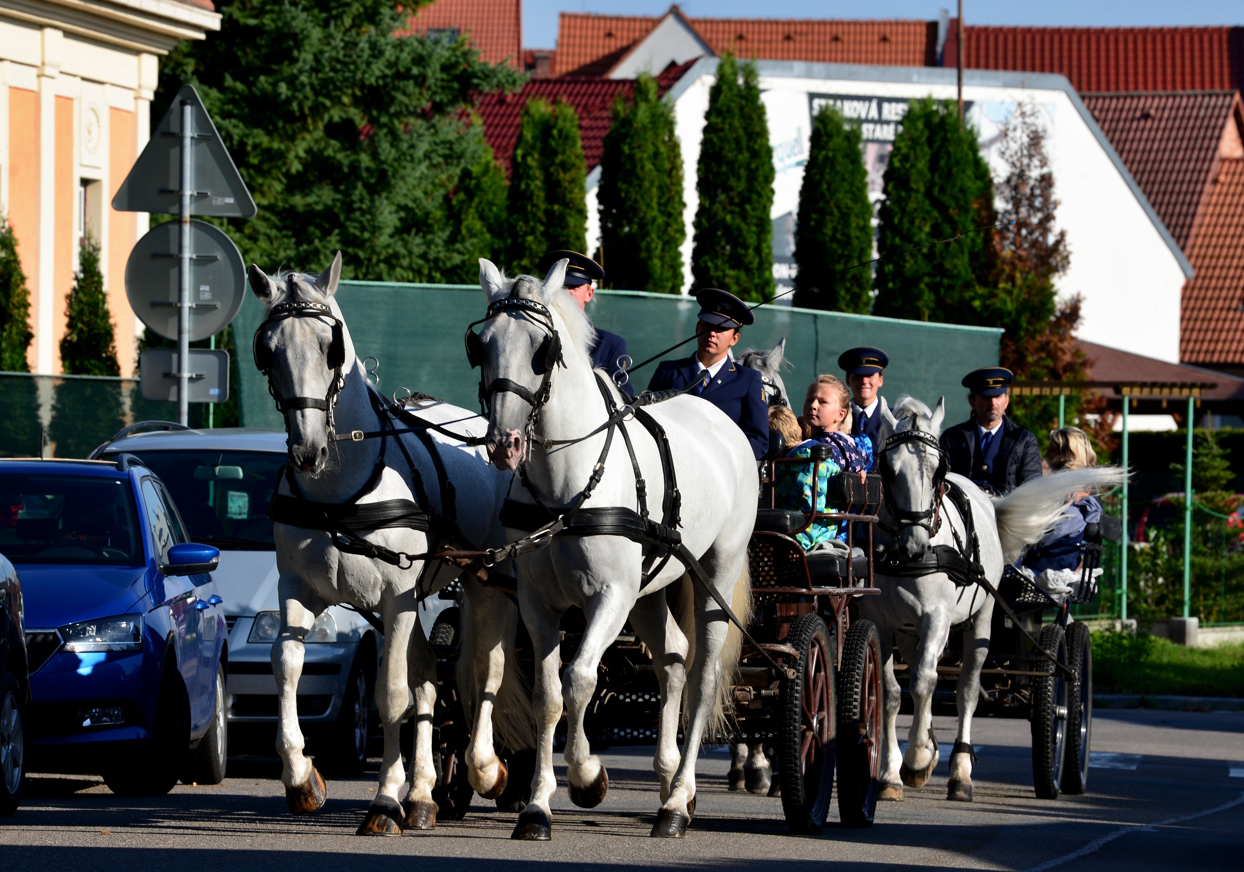 Národní hřebčín Kladruby nad Labem, s.p.o.